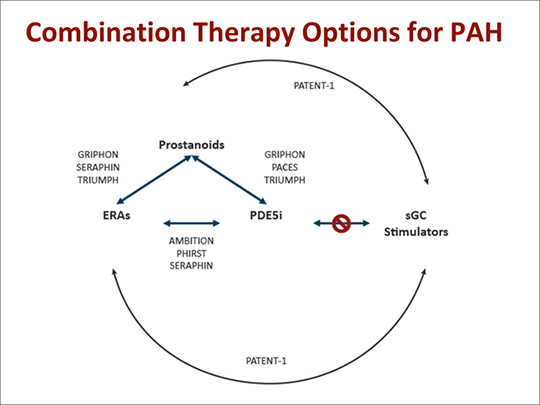 Navigating Through Treatment Options in PAH: Which Treatment for Which ...