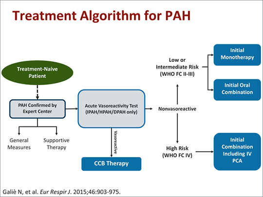 Navigating Through Treatment Options in PAH: Which Treatment for Which ...