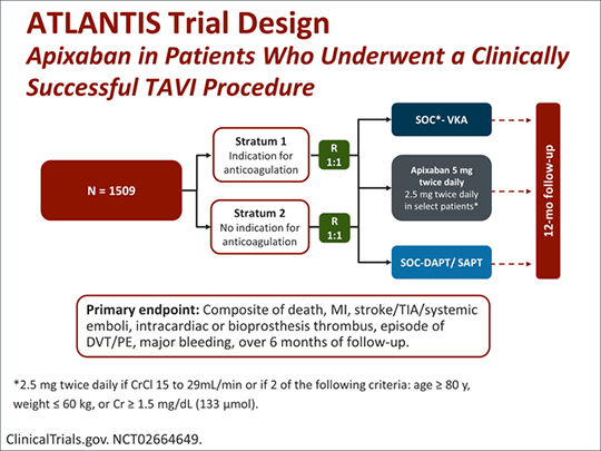 Anticoagulation Therapy in Patients Post-TAVR (Transcript)