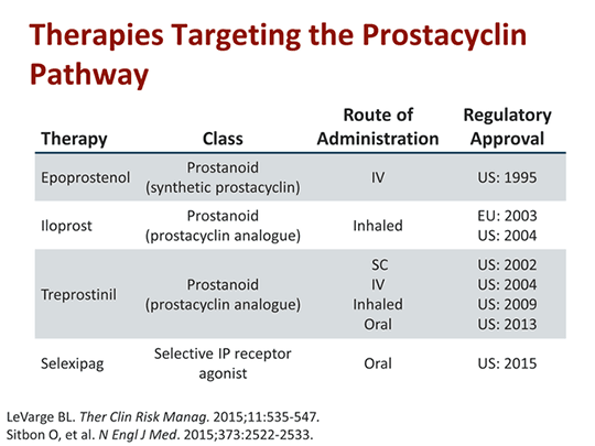 Incorporating Prostacyclins Into Practice: Emerging Strategies (Transcript)