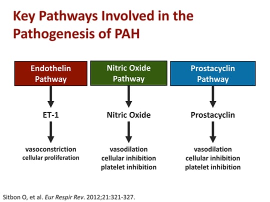 PAH and Prostacyclin Pathways in Focus: New Horizons? (Transcript)