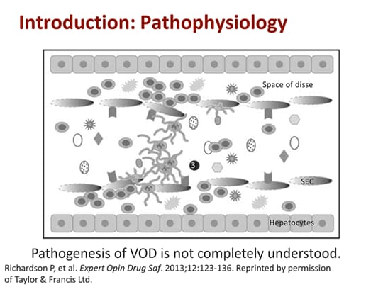 Discerning Sinusoidal Obstruction Syndrome (Veno-Occlusive Disease) in ...