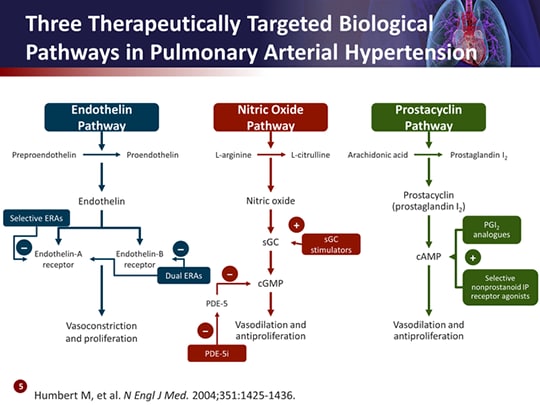 The Evolving Landscape of PAH: 20 Years of Prostanoids and Beyond ...