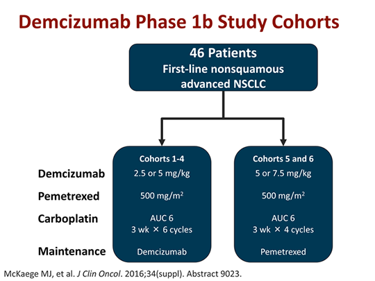 Updates in Lung Cancer: Insights From Chicago