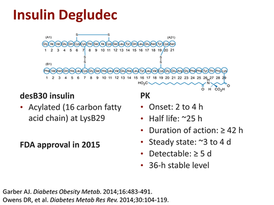 Novel Basal Insulin Formulations in the Modern Era of T2D Management ...