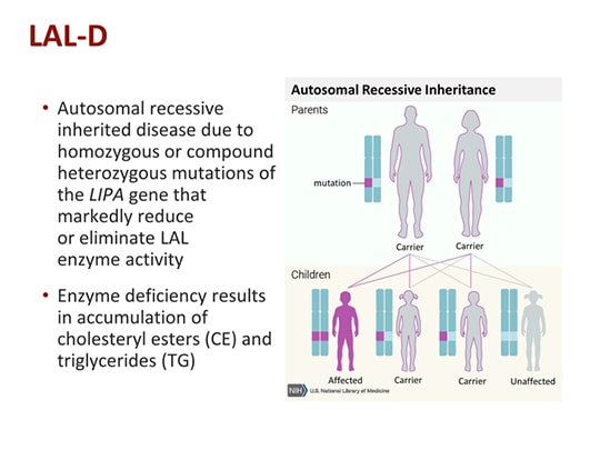 Lysosomal Acid Lipase Deficiency: Paving the Path for an Early Diagnosis (Transcript)