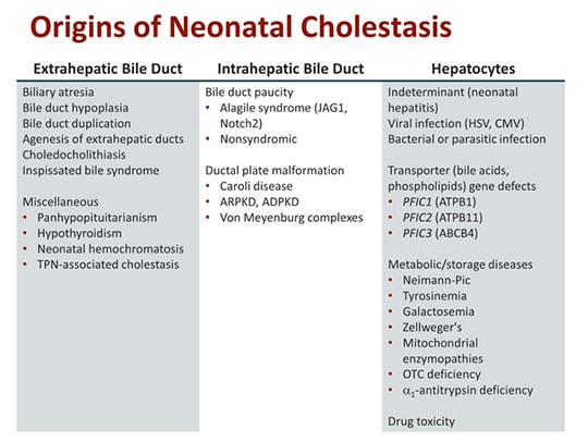 Pediatric Cholestatic Jaundice: Differential Diagnosis of Treatable ...