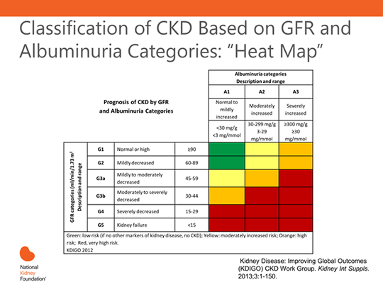 CKDinform: Early Detection and Prevention (Transcript)