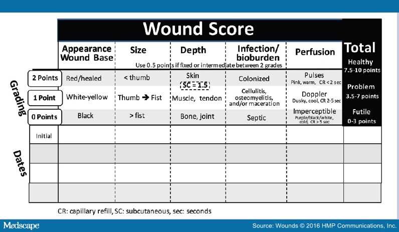 Reliability Assessment of an Innovative Wound Score