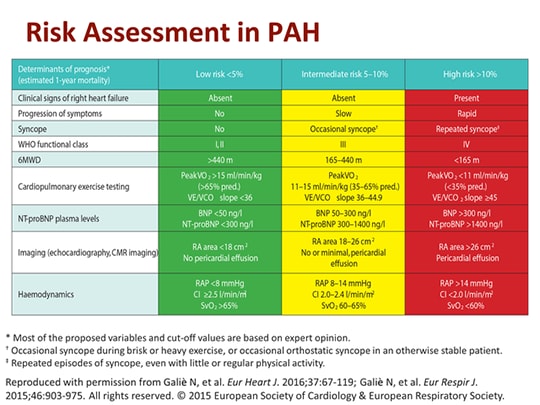PAH Treatment Algorithms: What's New and What Needs to Change? (Transcript)