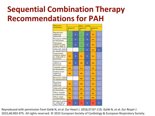 PAH Treatment Algorithms: What's New and What Needs to Change? (Transcript)