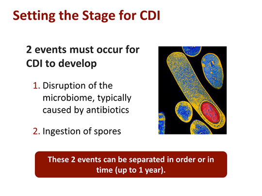 Probiotics in the Prevention of C Difficile Infection: What the Data ...