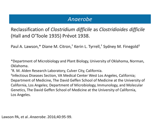 Probiotics In The Prevention Of C Difficile Infection What The Data Tell Us Transcript