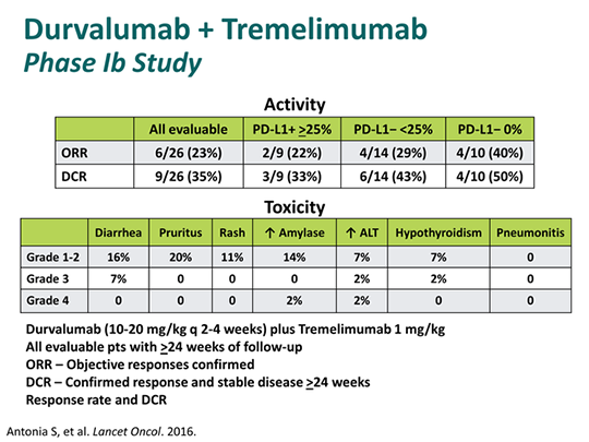 Advances in Cancer Immunotherapy for Solid Tumors: Expert Perspectives on The New Data