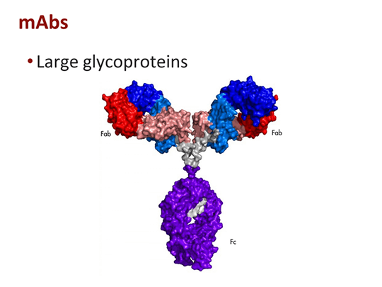 Updates in the Clinical Science of CGRP Antagonism for the Treatment of ...