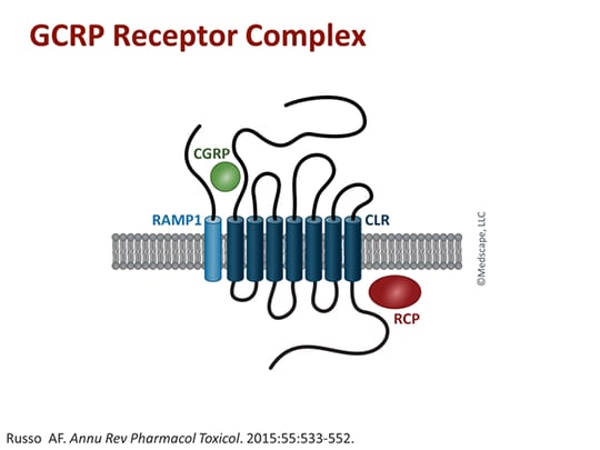 Updates in the Clinical Science of CGRP Antagonism for the Treatment of ...