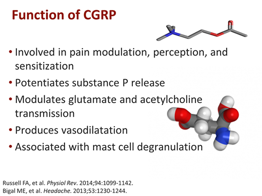 Updates in the Clinical Science of CGRP Antagonism for the Treatment of ...