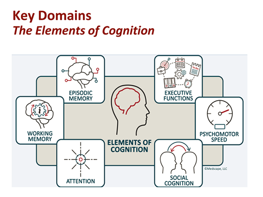 When Patients With Depression Have Cognitive Deficits (Transcript)