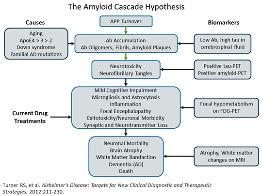 Advances in the Early Identification and Management of Alzheimer's ...