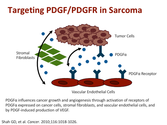 What's on the Horizon for Soft Tissue Sarcoma? (Transcript)
