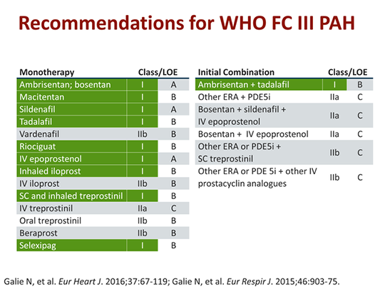 Staying on the Cutting Edge of PAH: Latest Advances and Strategies ...