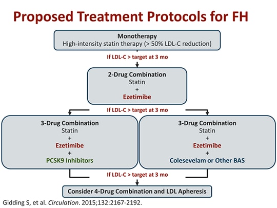 Nurse's Guide to Dyslipidemia: Strategies to Integrate Advances Into ...