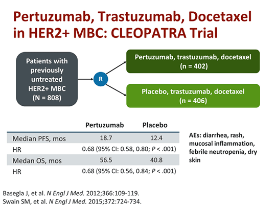 HER2-positive Metastatic Breast Cancer: Is There a Best Treatment ...