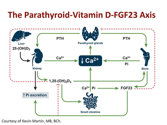 Secondary Hyperparathyroidism in CKD: Issues and Challenges in Timely ...