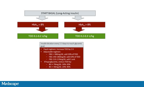 Utilizing Current and Novel Basal Insulin Formulations in Practice