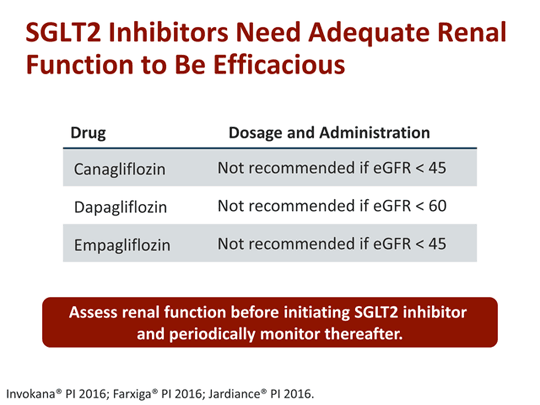SGLT2 Inhibitors in the Modern Era: Weighing Risk vs Benefit in All ...