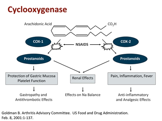 Selection of NSAIDs for Osteoarthritis: Primary Care Perspectives ...