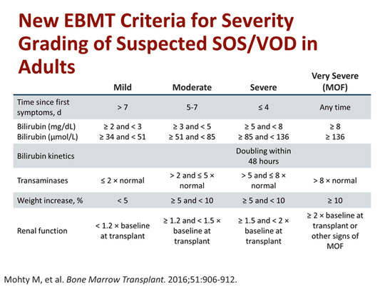 US and European Perspectives on Sinusoidal Obstruction Syndrome ...