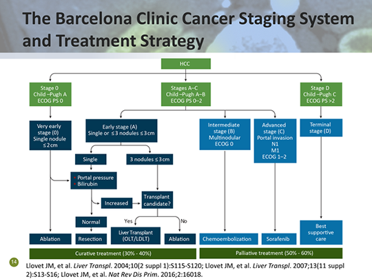 Management of Unresectable HCC: Time to Move the Goalposts? (Transcript)