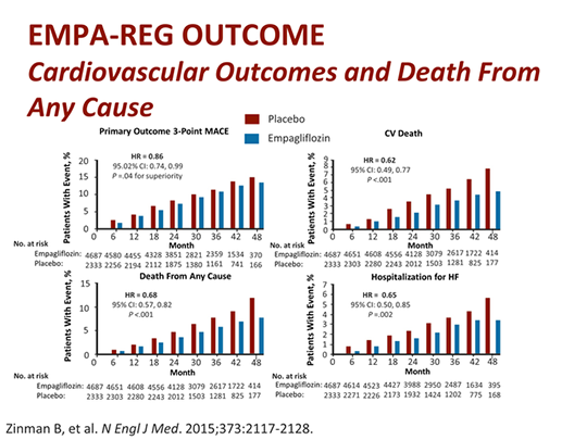 A Deep Dive Into CVOTs: What Patients Do They Really Affect? (Transcript)
