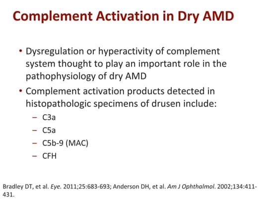 Dry AMD and GA: The Present and Future (Transcript)