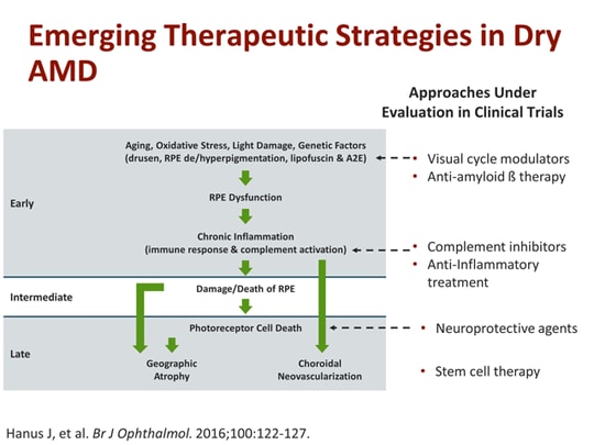 Dry AMD and GA: The Present and Future (Transcript)