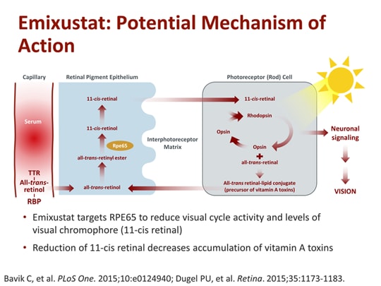 Dry AMD and GA: The Present and Future (Transcript)