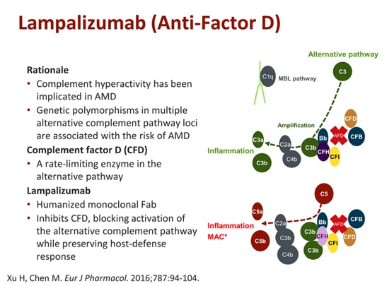 Dry AMD and GA: The Present and Future (Transcript)