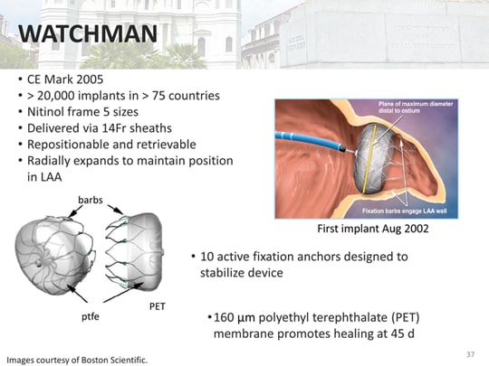 Advances in AF Stroke Management: Assessing Appropriate Drugs and ...