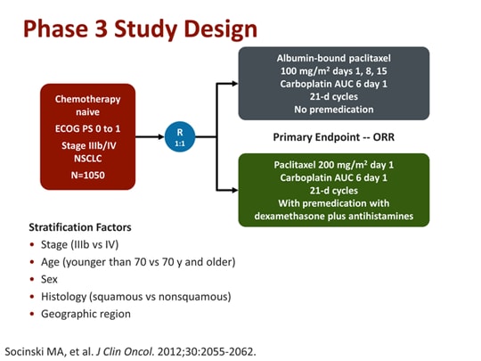Advanced NSCLC Without Actionable Mutations: Forming Optimal Treatment ...