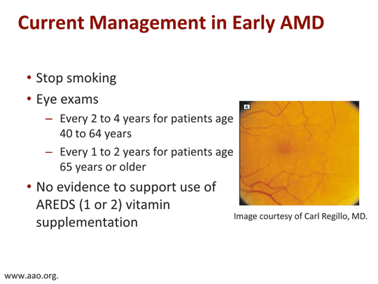 Dry AMD and GA: Where Are We Now, and Where Are We Going? (Transcript)