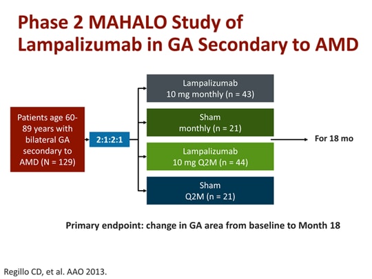 Dry AMD and GA: Where Are We Now, and Where Are We Going? (Transcript)
