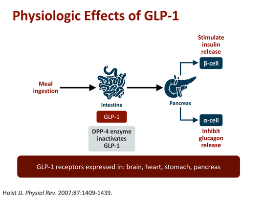 Back to Basics With Incretin Agents (Transcript)