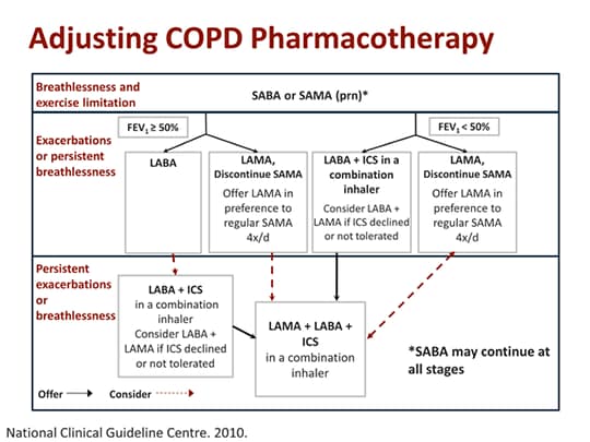 Assessing COPD in Primary Care: A Practical Approach (Transcript)