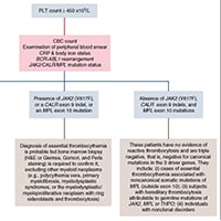 How I Treat Essential Thrombocythemia