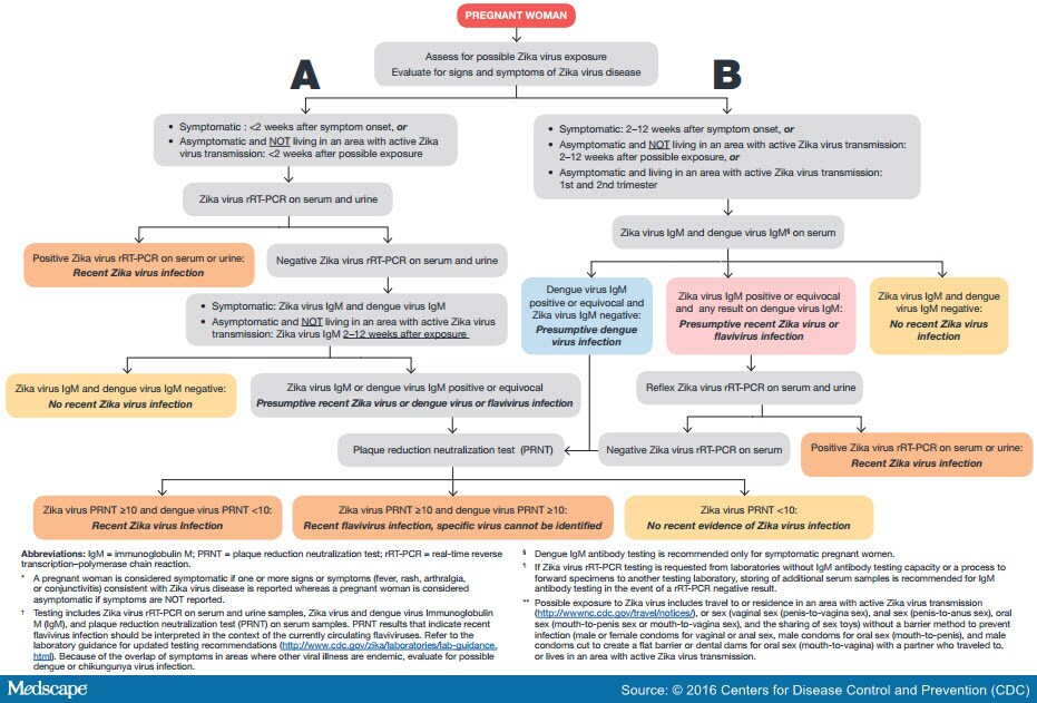 Zika: To Test or Not to Test? - Page 2