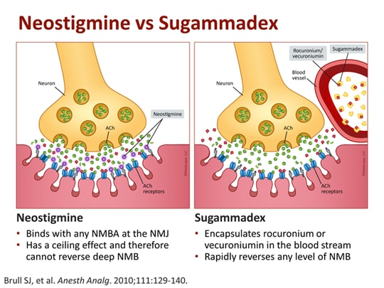 Controversies in Anesthesia: Does Depth of Neuromuscular Blockade Matter?
