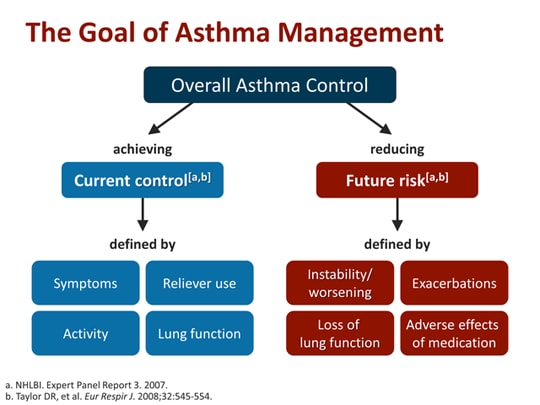 Moderate-to-Severe Asthma Management: Focus on Control-Based Strategies ...