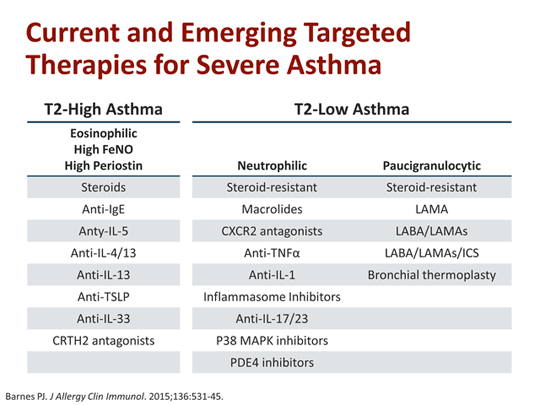 Moderate-to-Severe Asthma Management: Focus on Control-Based Strategies ...
