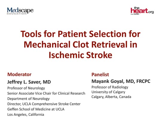 Tools For Patient Selection for Mechanical Clot Retrieval in Ischemic ...